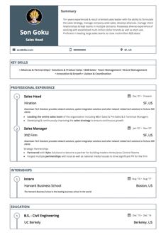 Sales Head Resume Sample by Hiration