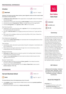 Sales Head Resume Sample by Hiration