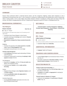 Sales Head Resume Sample by Hiration